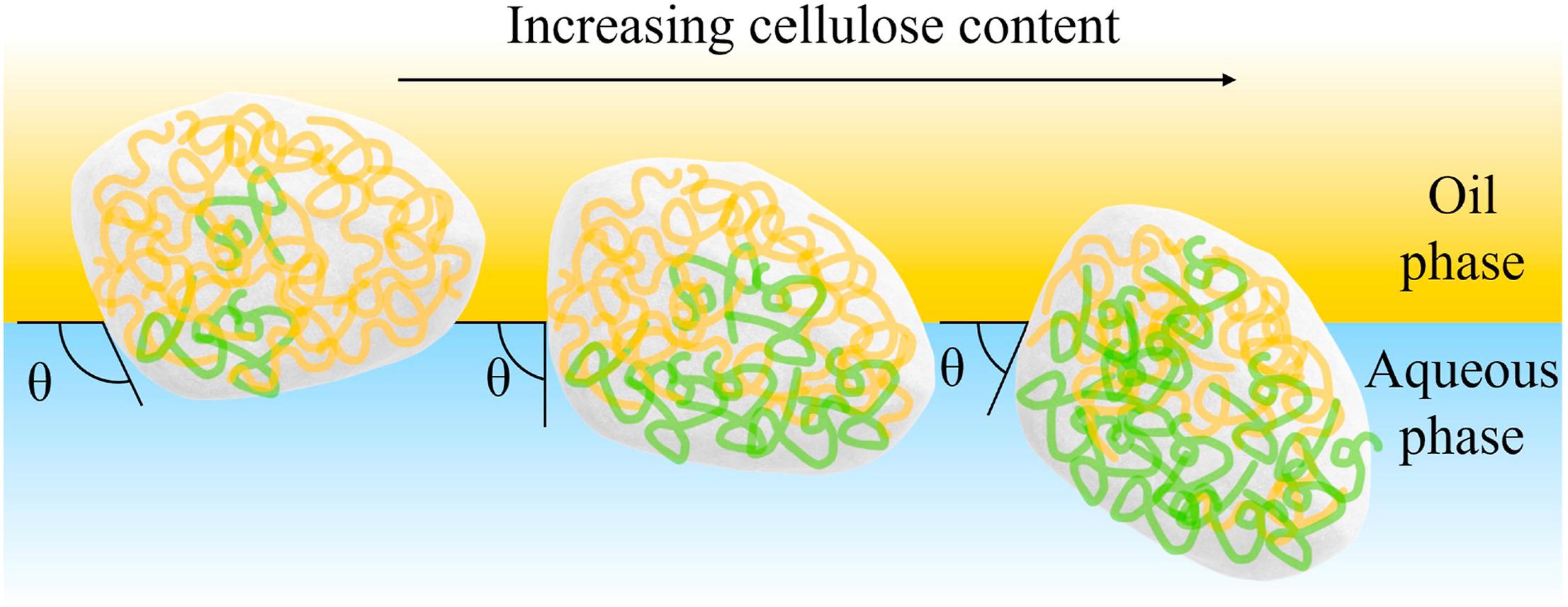 研究成果-江南大学先进功能高分子材料研究中心